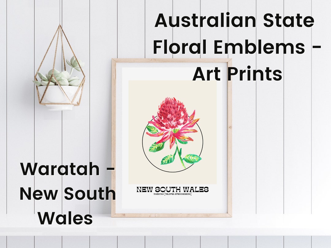 Waratah Printable Art for New South Wales State Floral Emblem ...