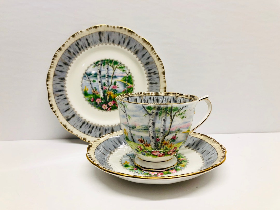 Vintage Royal Albert Silver Birch Teacup Trio: England Forest Scene - Etsy
