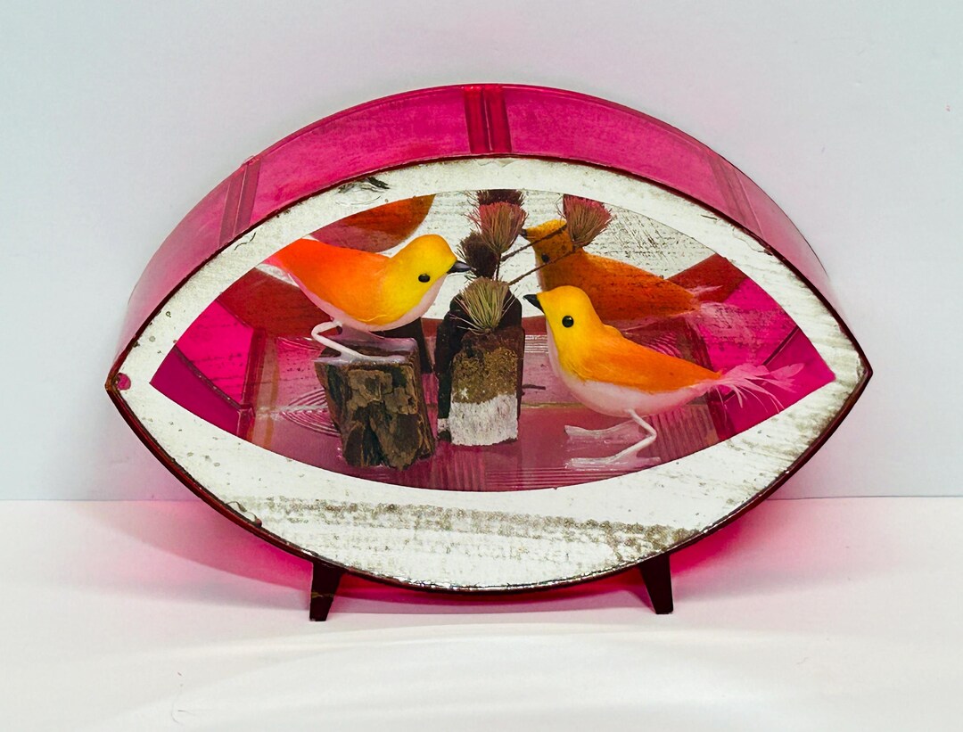 Vintage Birds Shadow Box Diorama RARE Kitschy Faux Taxidermy Mirrored ...