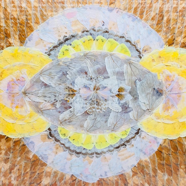 Butterfly Wing Collage - Etsy