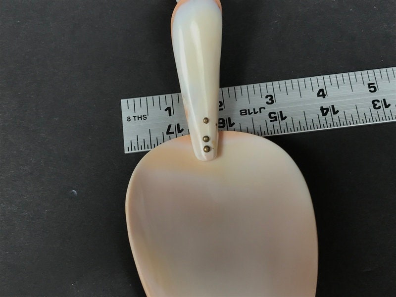 Vintage large Seashell spoon natural sea shell serving spoon | Etsy