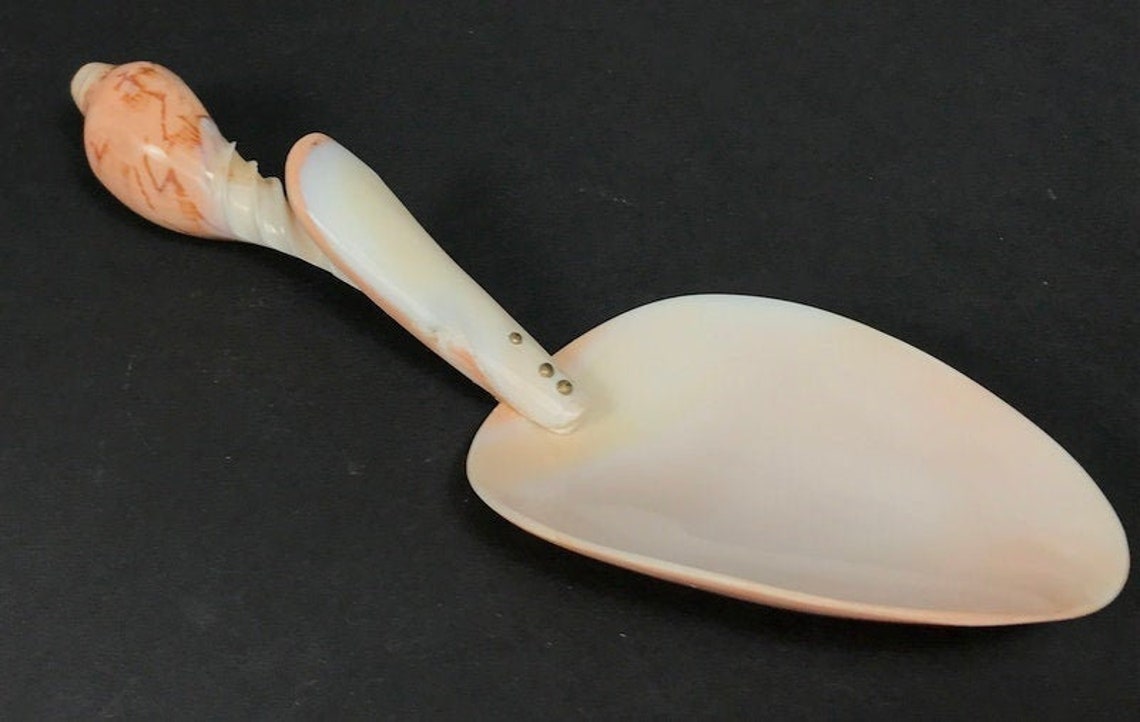 Vintage large Seashell spoon natural sea shell serving spoon | Etsy