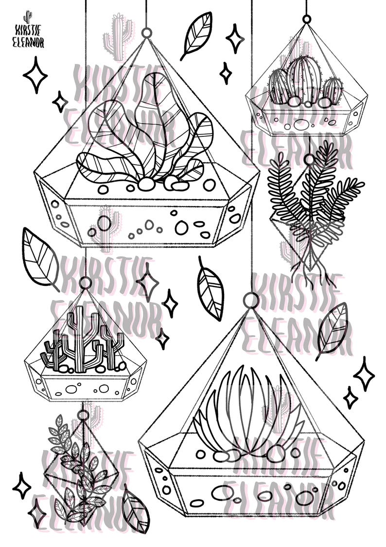 A4 Printable Colouring Page - Hanging Terrariums - Etsy