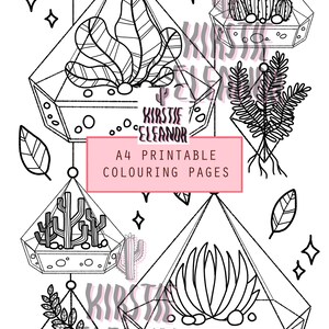 A4 Printable Colouring Page - Hanging Terrariums - Etsy