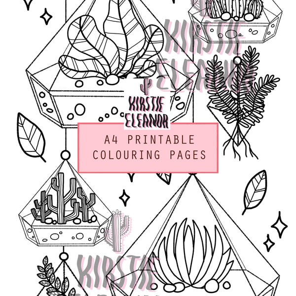 A4 Printable Colouring Page Hanging Terrariums - Etsy