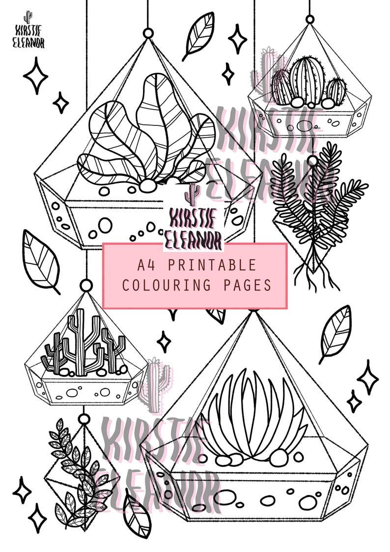 A4 Printable Colouring Page - Hanging Terrariums - Etsy