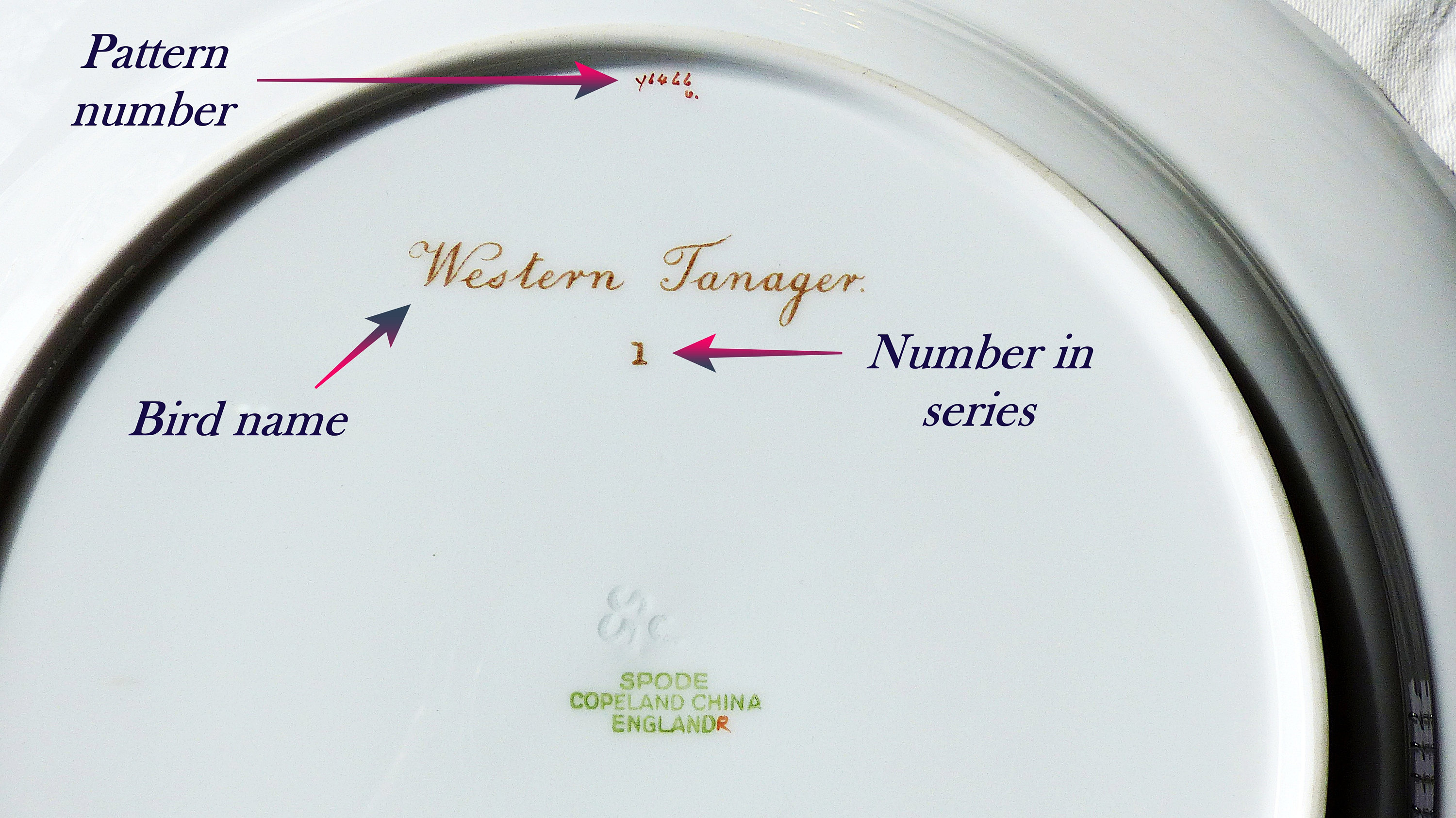 12 Vintage Spode "audubon Birds" Dinner Plates Y6466, Different Birds ...