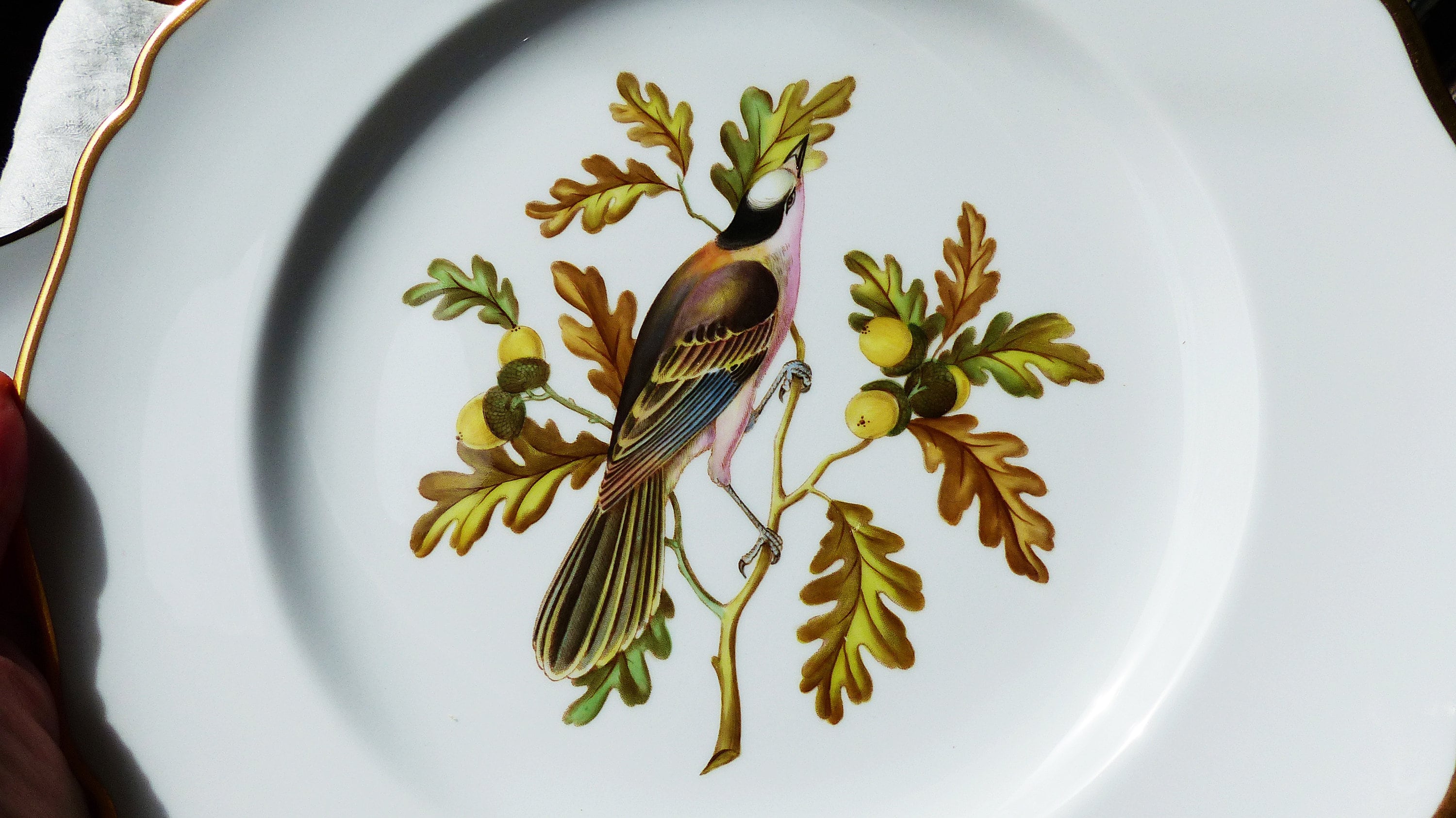 12 Vintage Spode "audubon Birds" Dinner Plates Y6466, Different Birds ...