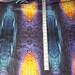 Blue Purple Yellow Snake Skin Python 4 Way Stretch Spandex Fabric by ...