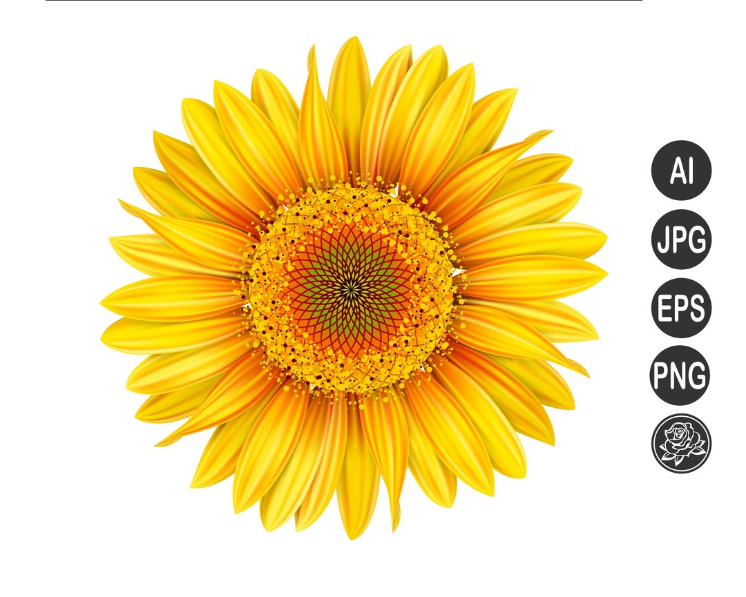Tournesol entier gros plan pour fichier PNG de conception, fleur jaune ...