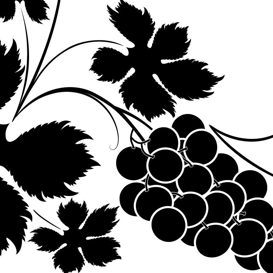 Vine SVG Grape Leaves SVG Grapevine Grape SVG Grape - Etsy UK