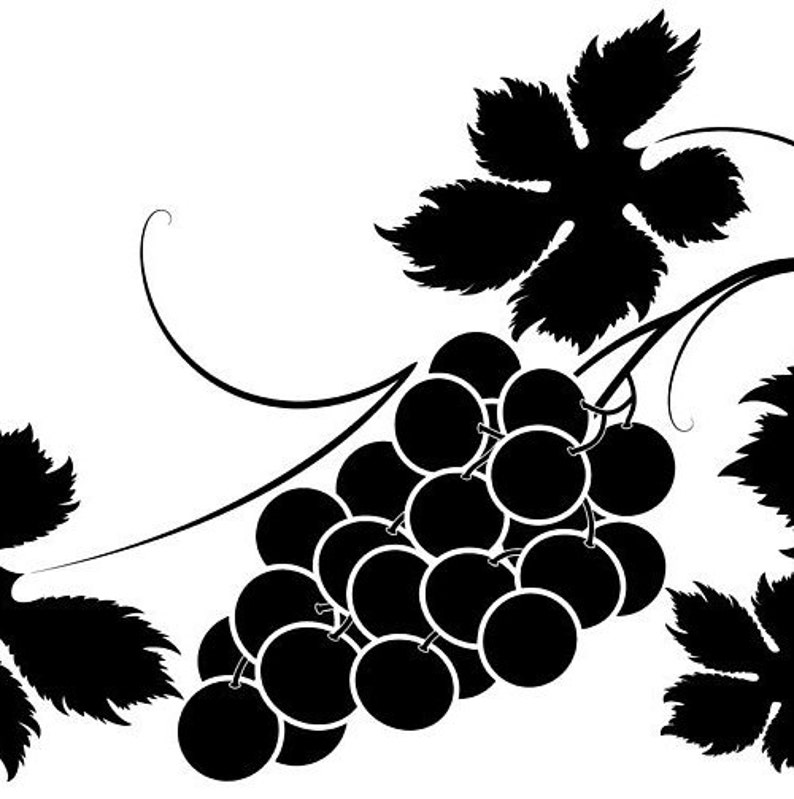 Vine SVG Grape Leaves SVG Grapevine Grape SVG Grape | Etsy UK