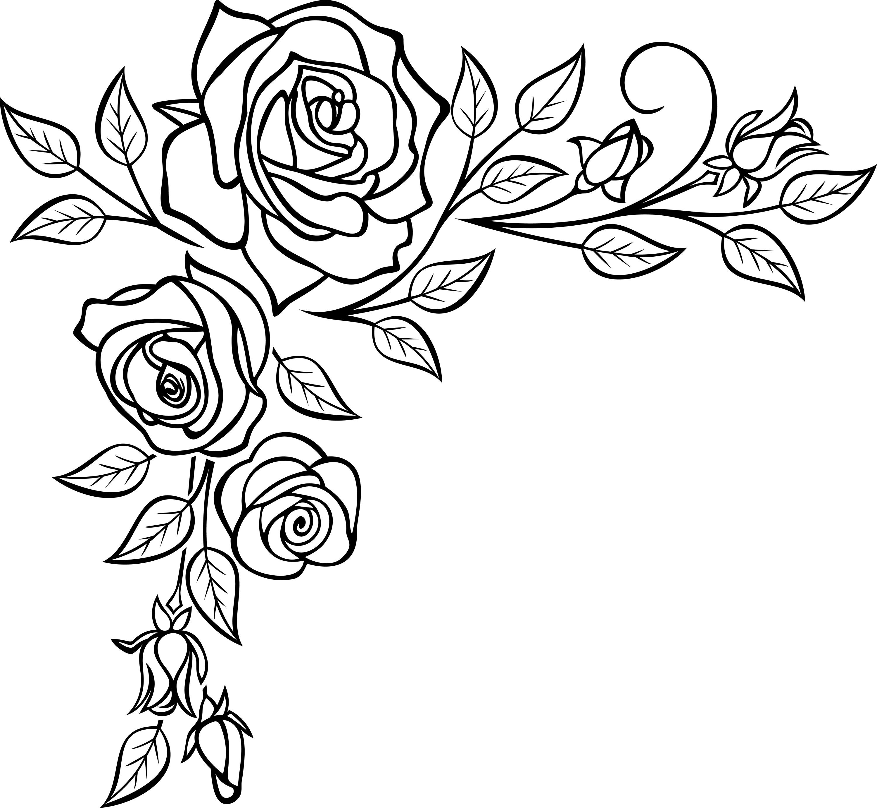 Rose Outline SVG Bundle: Floral Arrangements, DIY Crafts (digital ...
