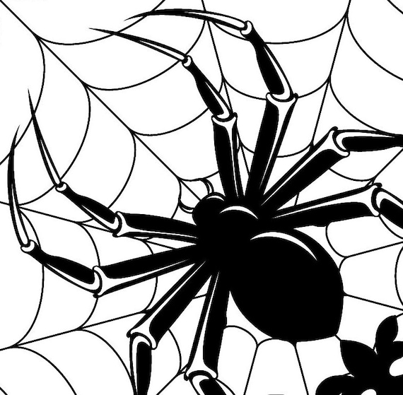 Halloween Spider Web Clipart