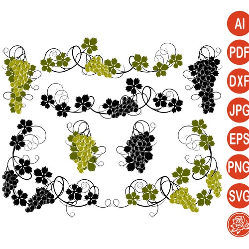 GRAPEVINE SVG Digital Download Vector File Grape Leaves - Etsy