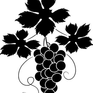 Weinrebe SVG, Traubenblätter SVG, Weinrebe, Traube SVG, Traube ...