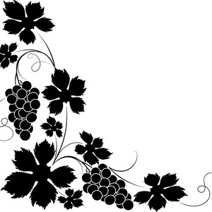 Vine SVG, Grape Leaves SVG, Grapevine, Grape SVG, Grape Silhouette Svg ...