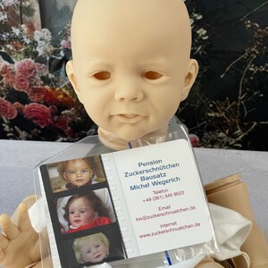 Authentic Michel Reborn Blank Doll Kit LE Karola Wegerich LE 2/555 - Etsy