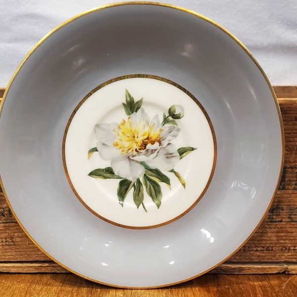 Princess China - Etsy