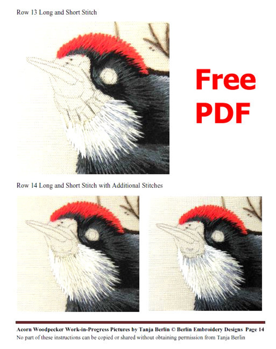Acorn Woodpecker Needle Painting Hand Embroidery Kit and PDF | Etsy