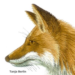 Red Fox Needle Painting Hand Embroidery Kit and PDF File With Colour ...