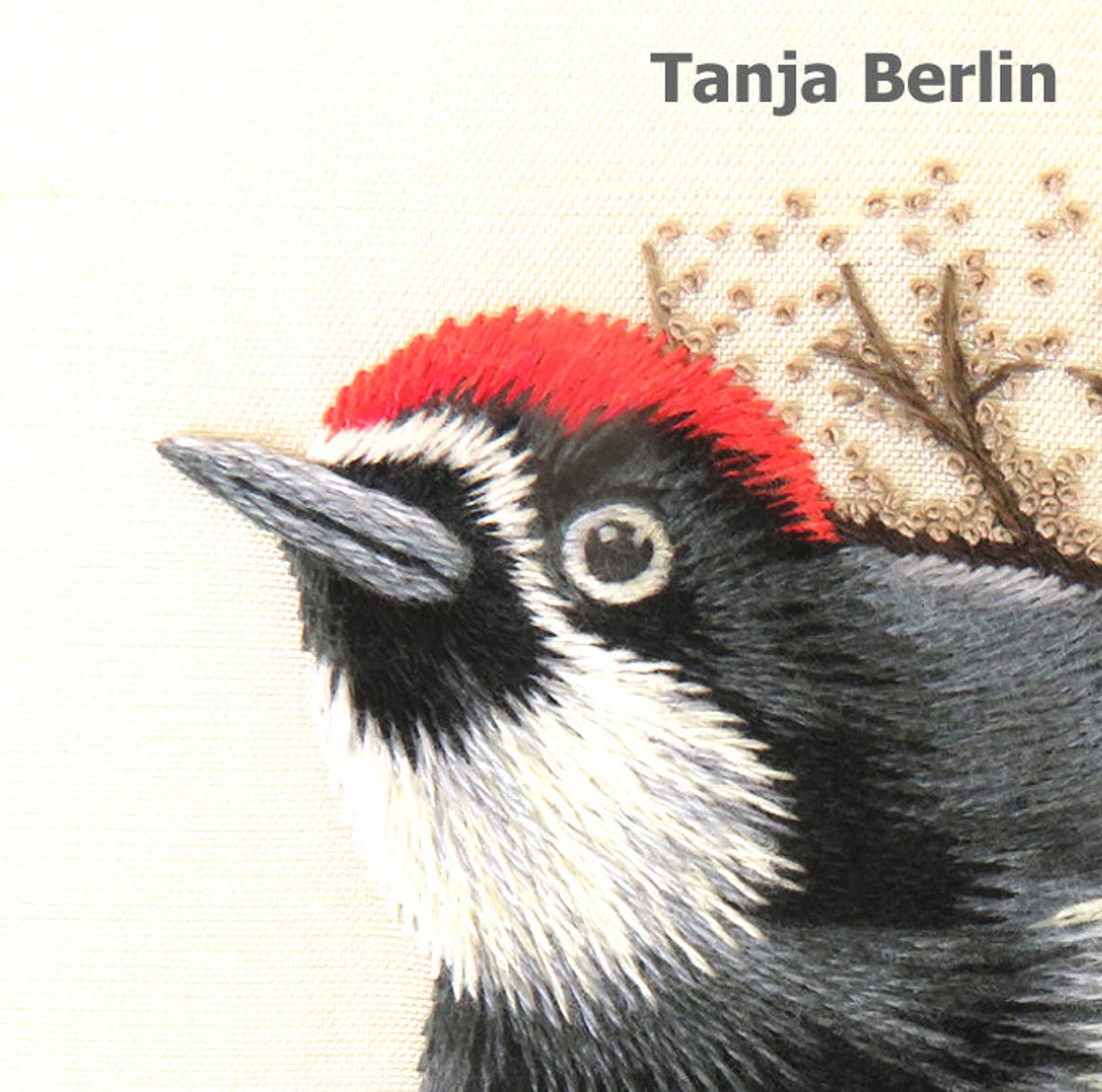 Acorn Woodpecker Needle Painting Hand Embroidery Kit and PDF | Etsy
