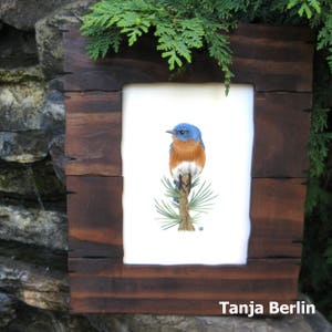 Eastern Blue Bird on Pine Branch Needle Painting Hand Embroidery Kit ...