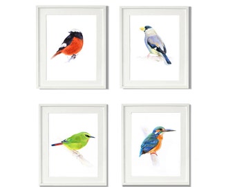 Bird Painting Set - Etsy