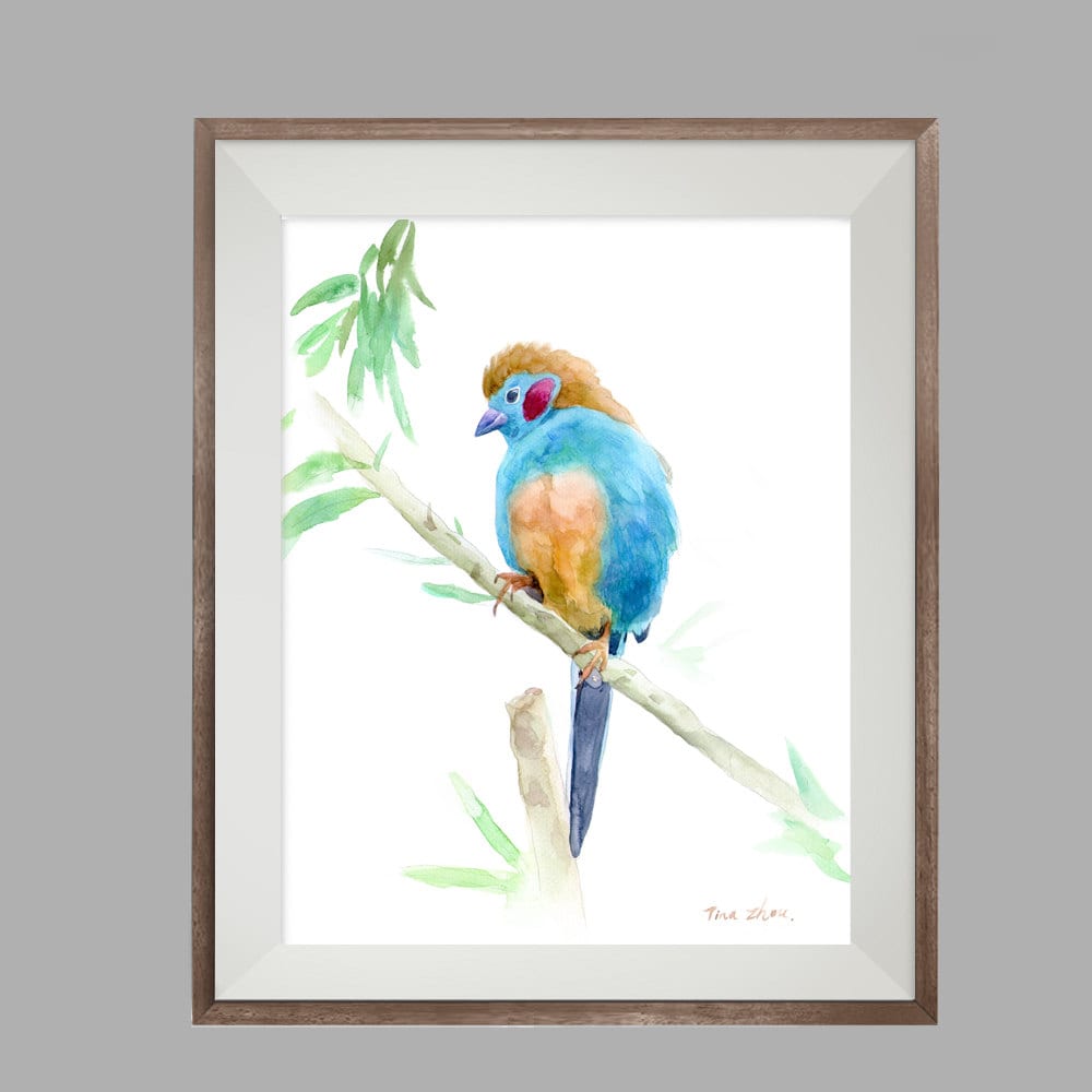 Watercolor Bird Painting print Bird Print Wall Art Animal | Etsy