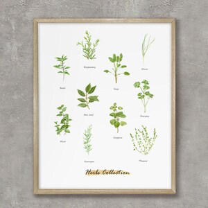 Herb Poster, Watercolor Painting Prints, Botanical Print, Kitchen Wall ...
