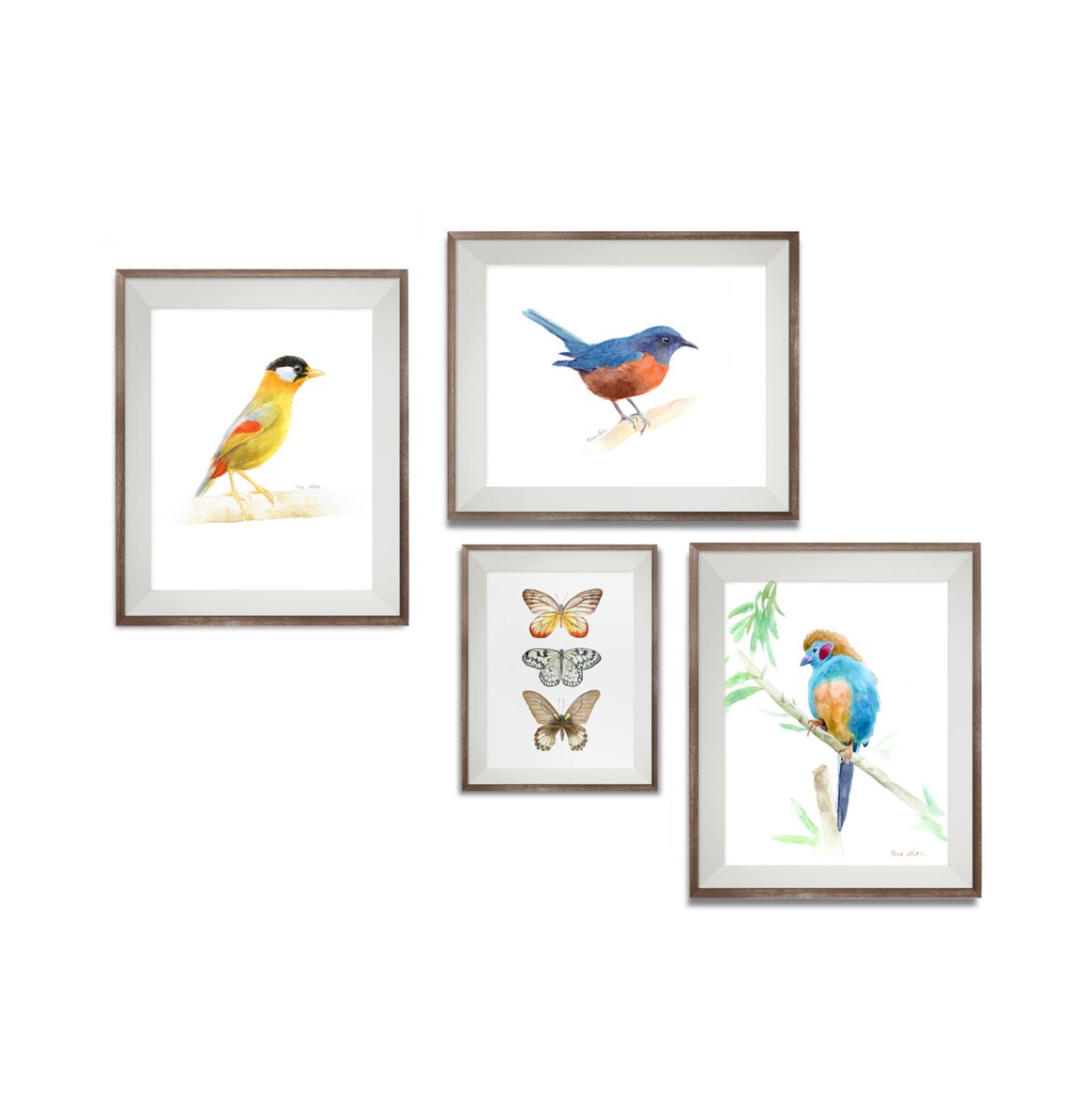 Gallery Wall Art Bird Wall Art Decor Set of 4 Prints Bird - Etsy