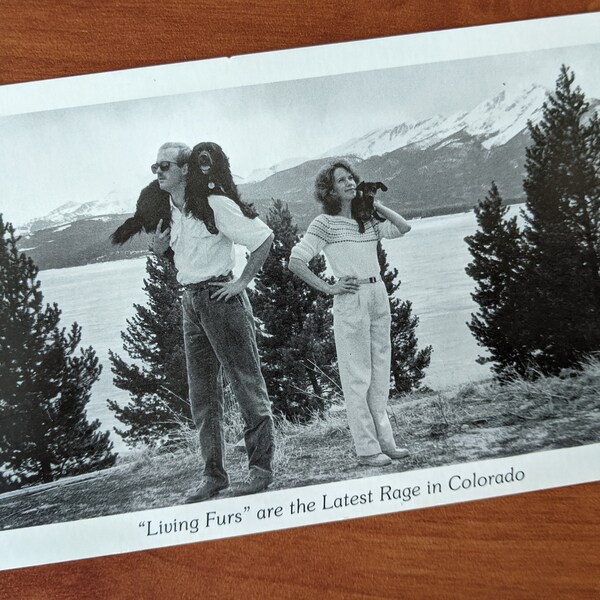 Comic Postcard - Etsy