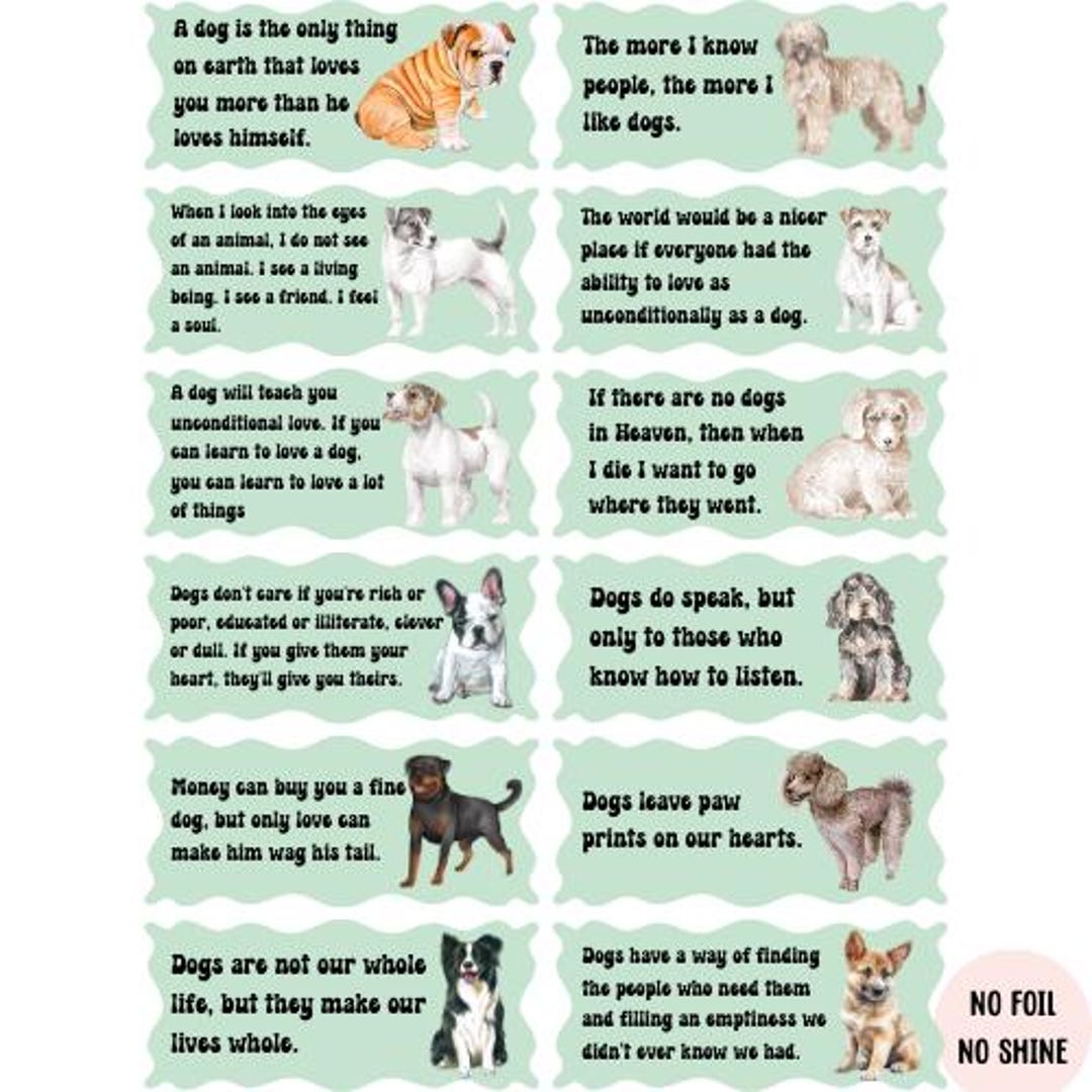 Dog Love & Loss Sentiment Card Toppers – Comfort Quotes for Pet ...