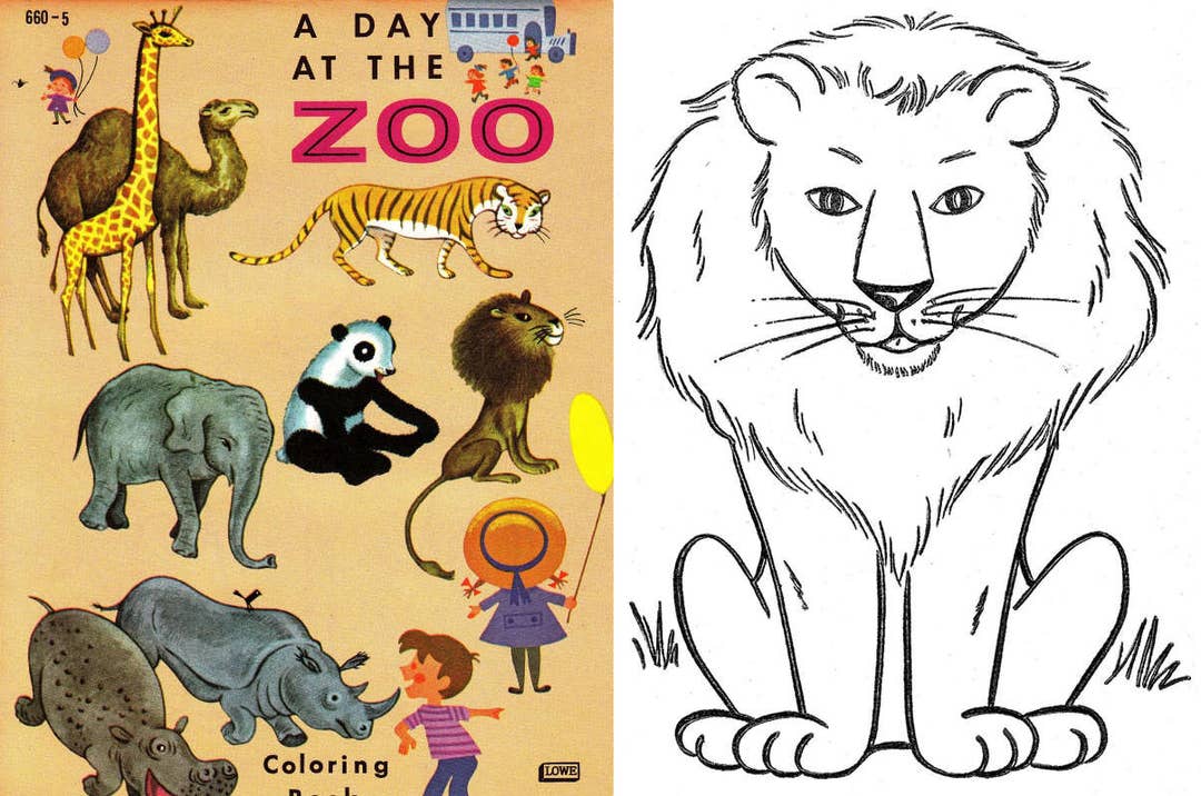 OFFER!! 5 Coloring Books Animals, Animals to Color, Zoo, Farm, 50's ...