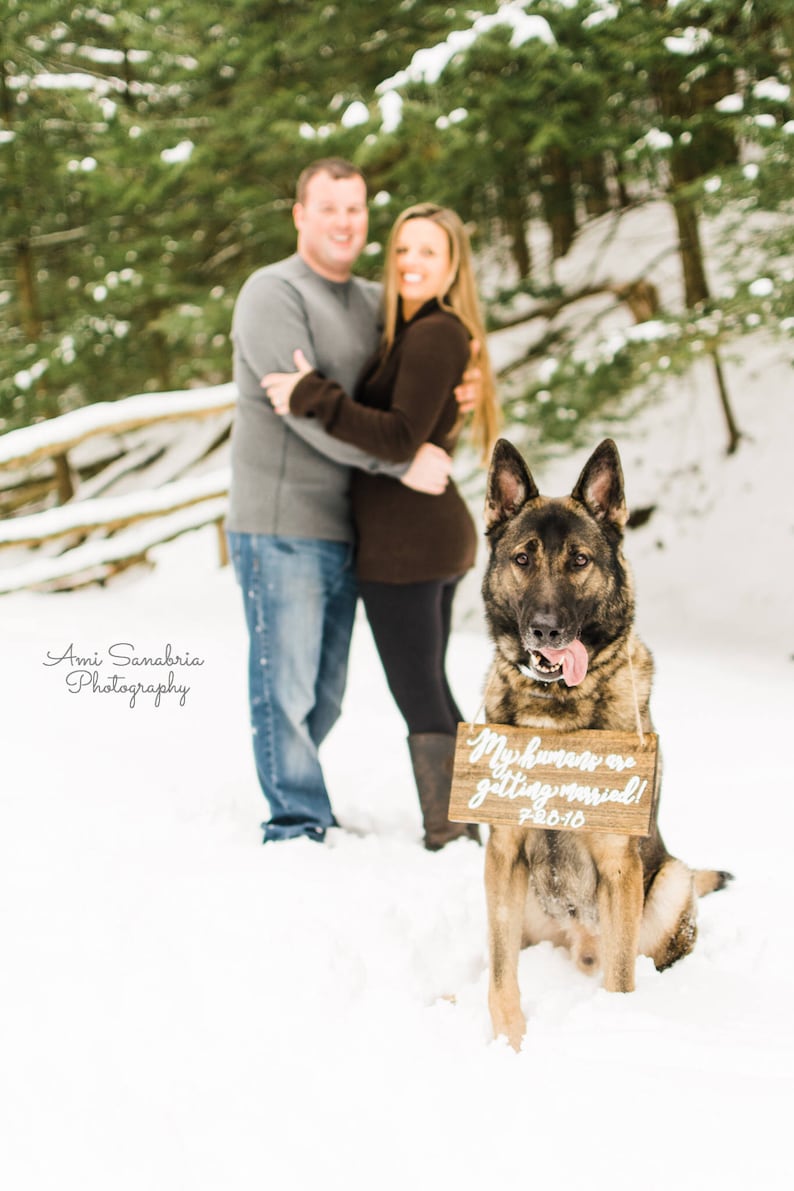 My Humans Are Getting Married Sign Dog Save the Date Pet - Etsy