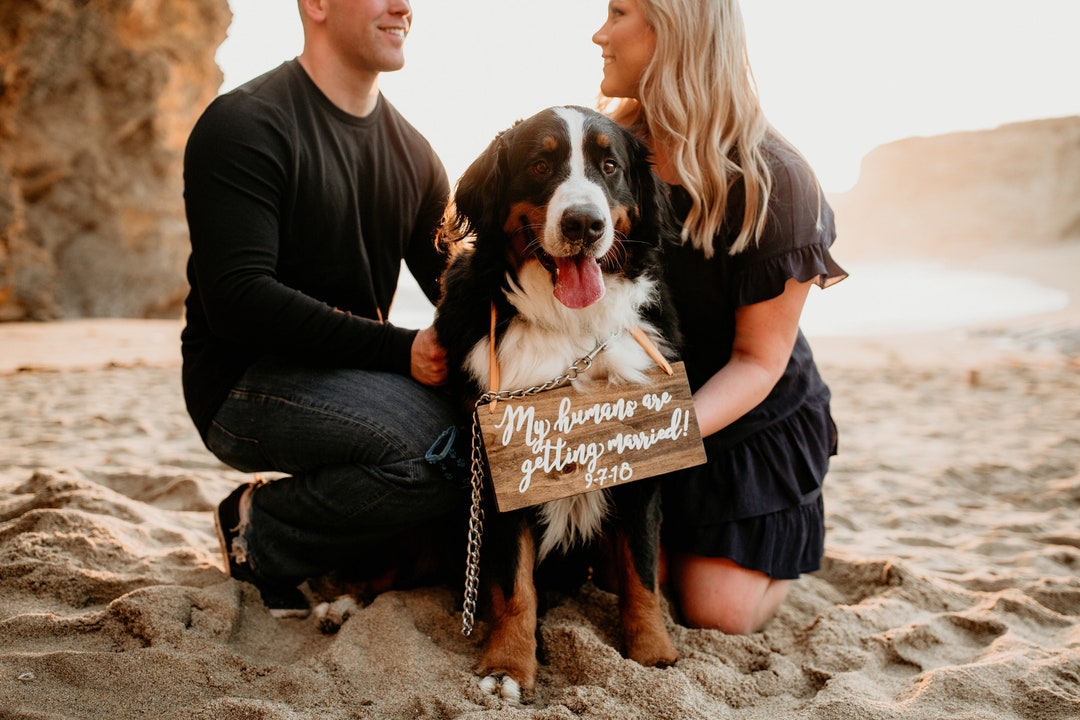 My Humans Are Getting Married Sign, Dog Save the Date, Pet Save the ...