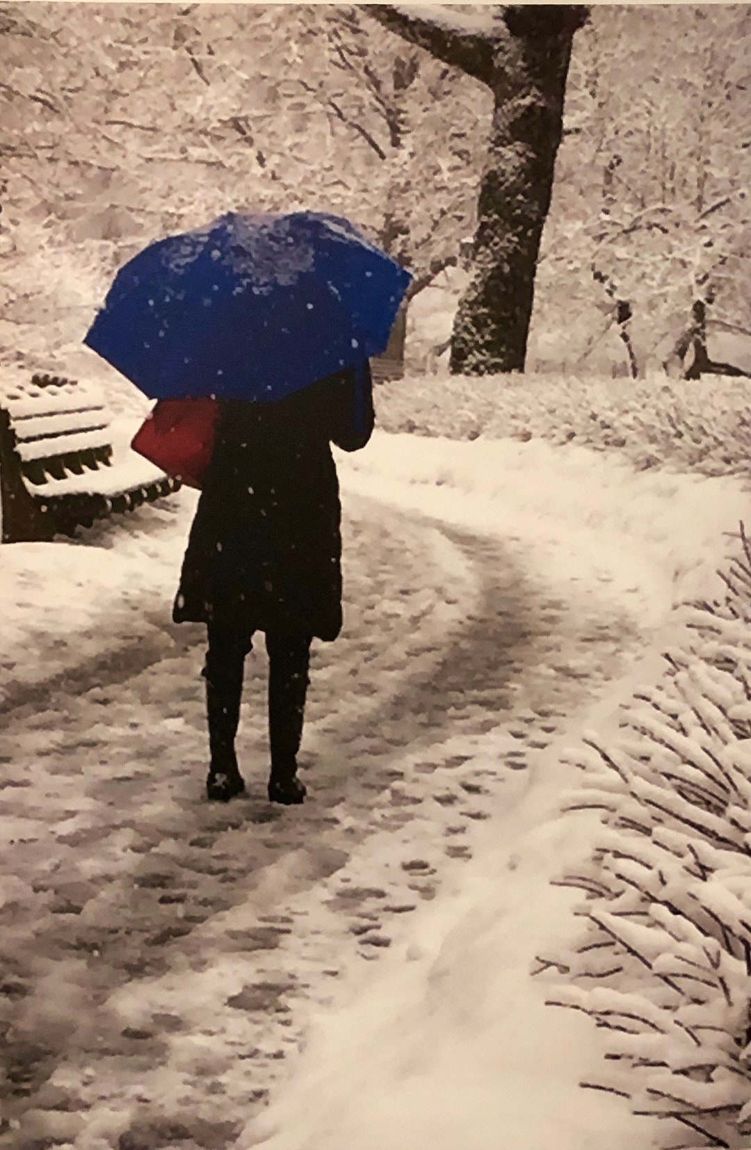 Central Park Winter Stroll - Etsy