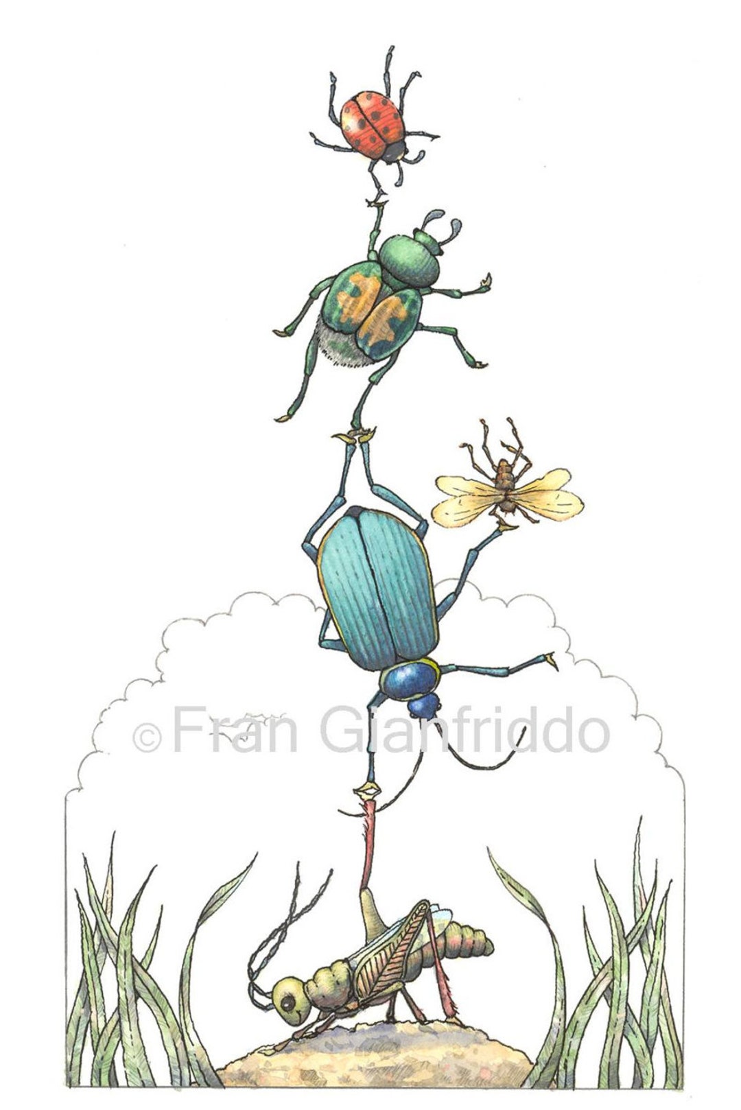 ACROBUGS. It Takes Super Bug Strength, Great Concentration and Perfect ...