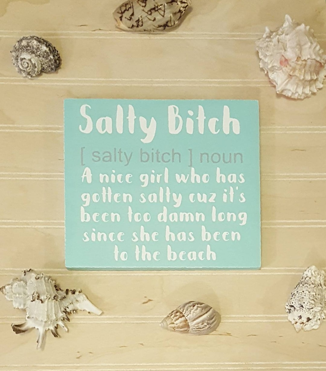 Salty, Bitch, Wall Hanging, Coastal, Beach Sign, Beach Lover Gift, Aqua ...