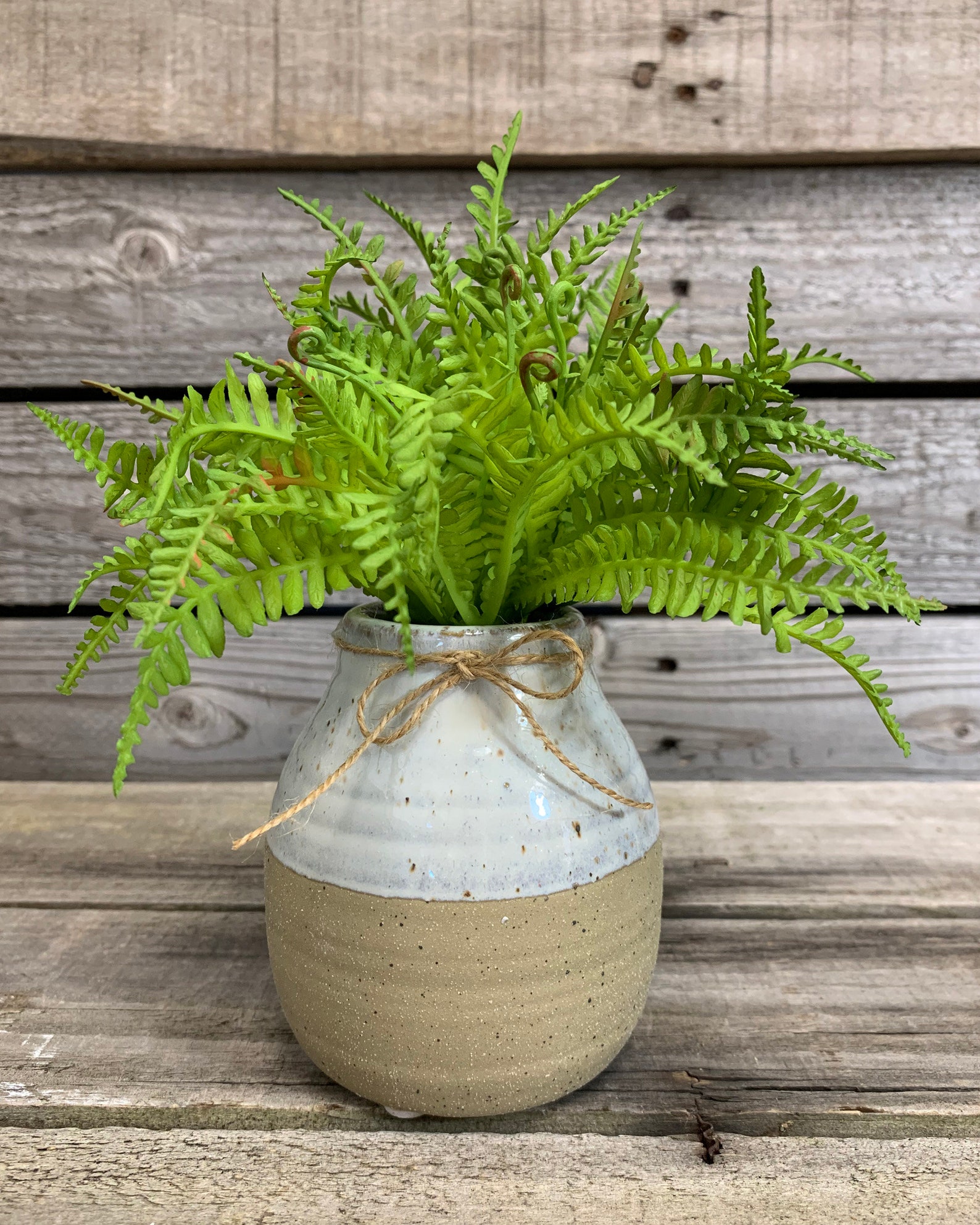 Vase Fern SUCCULENT PLANTS Shelf Decor Ceramic 2 TONE Cream - Etsy