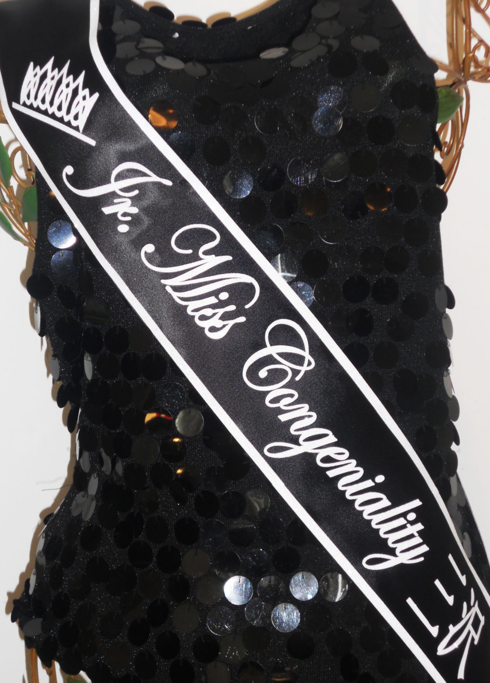 Pageant Sash Design You Own Personalized Sash Custom Sash - Etsy