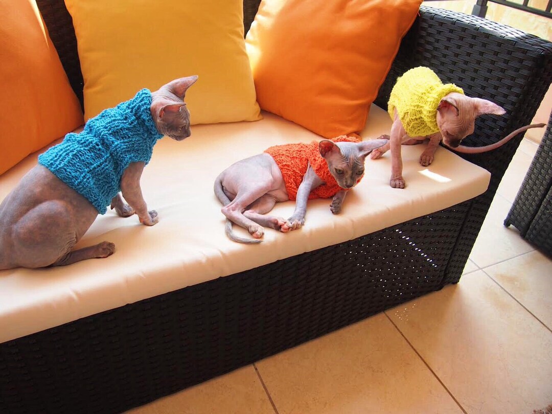 Pull fait main pour chaton en différentes couleurs. Sans couture. Laine ...