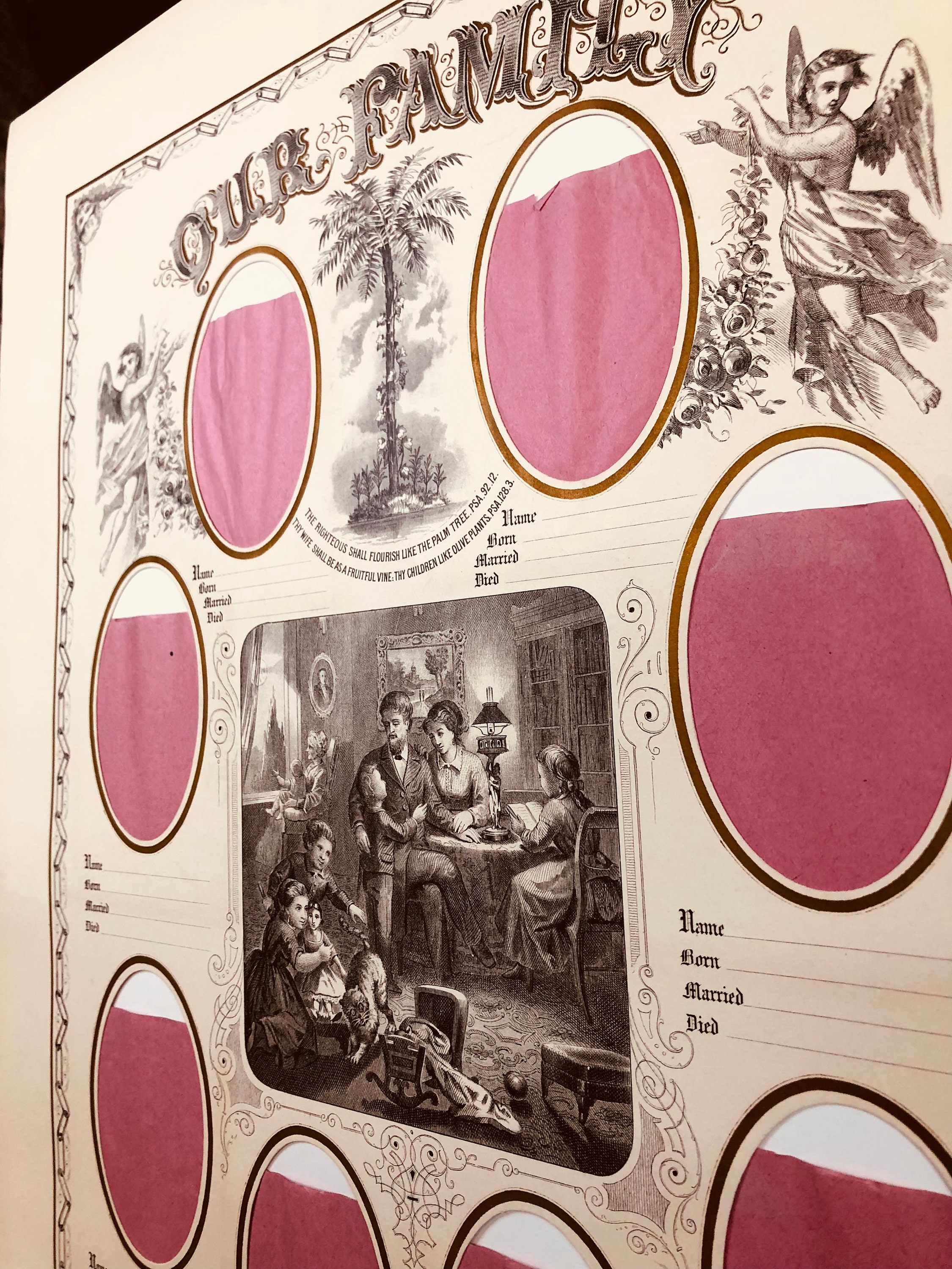 Antique NOS New Old Stock FAMILY TREE Victorian Certificate Photo Pockets