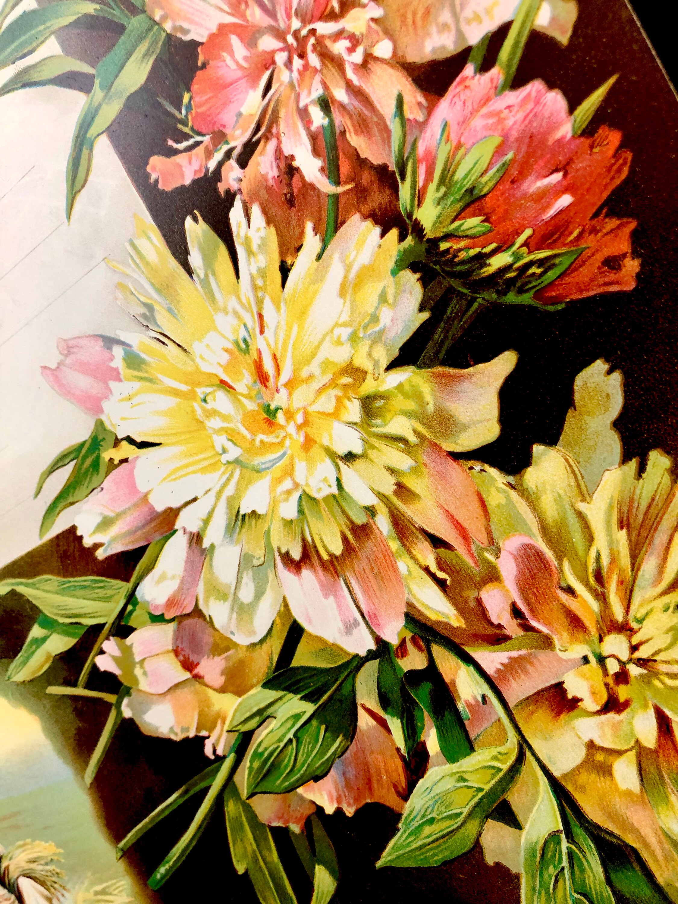 Antique Original NOS Victorian Lithograph MARRIAGE CERTIFICATE with ...