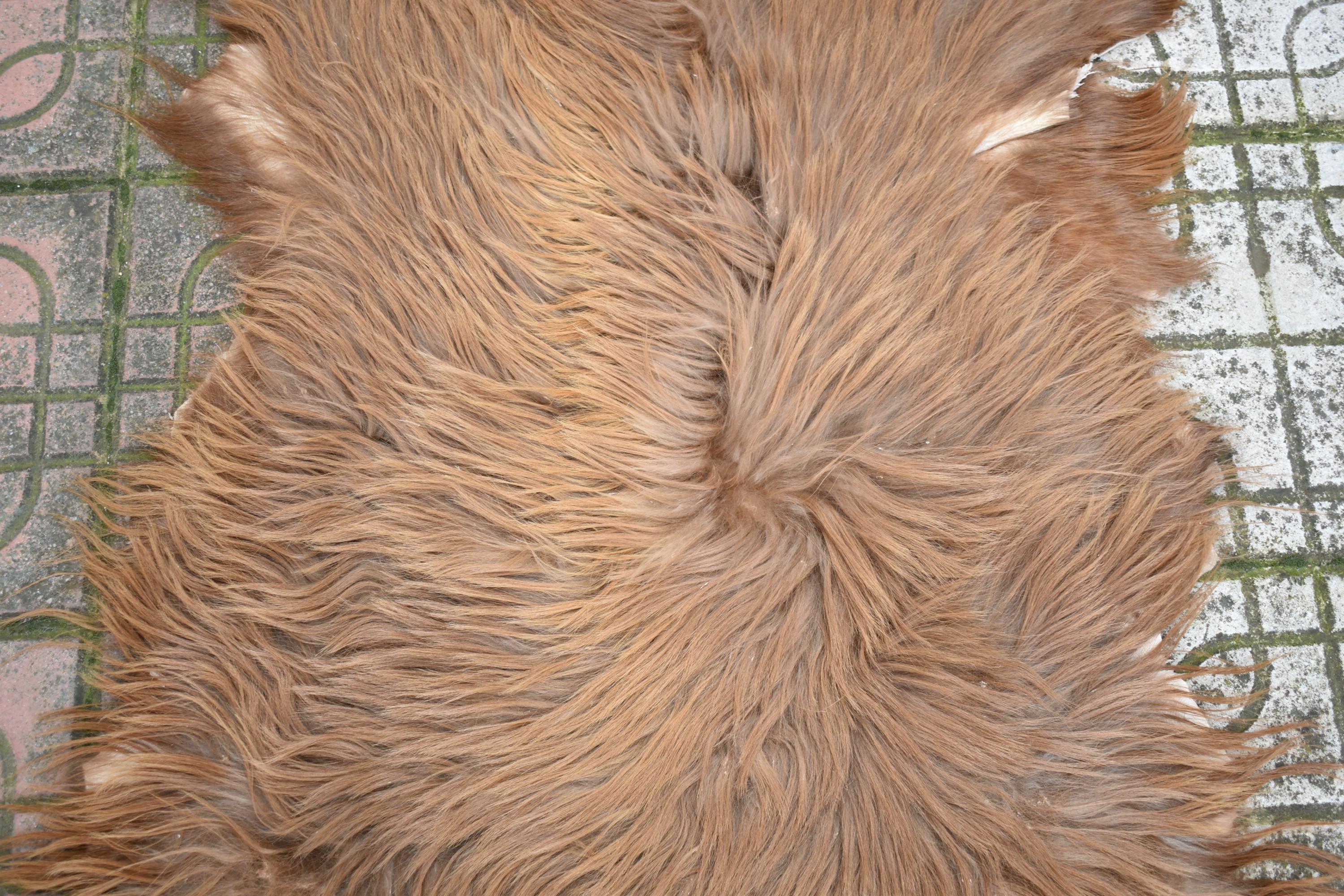 Angora Goat Leather Goatskin Fur, 2 X 3 Ft, Pelt Hide 100% Natural Goat ...