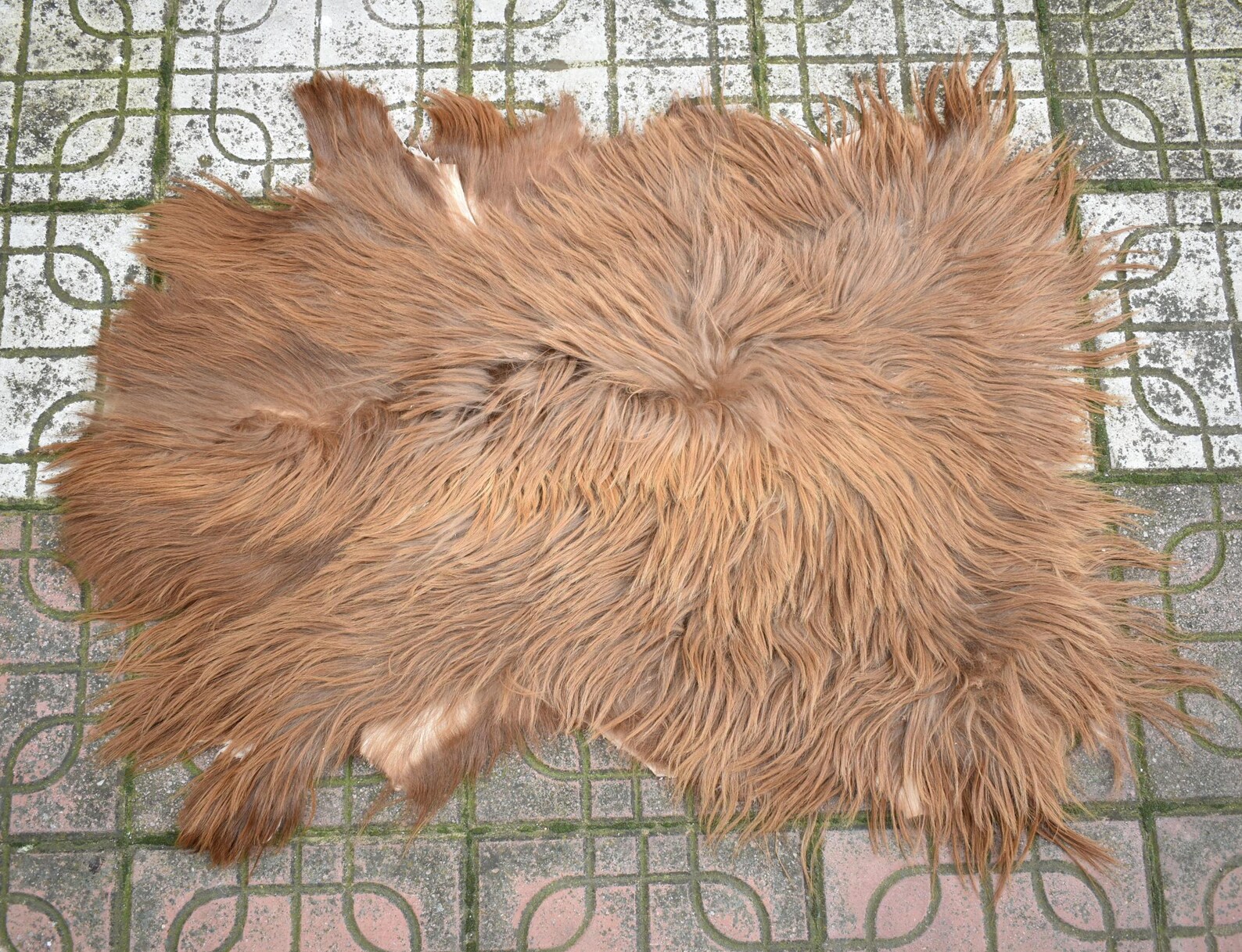 Angora Goat Leather Goatskin Fur, 2 X 3 Ft, Pelt Hide 100% Natural Goat ...