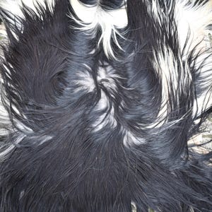 Angora Goat Leather Goatskin Fur, 2 X 3 Ft, Pelt Hide 100% Natural Goat ...