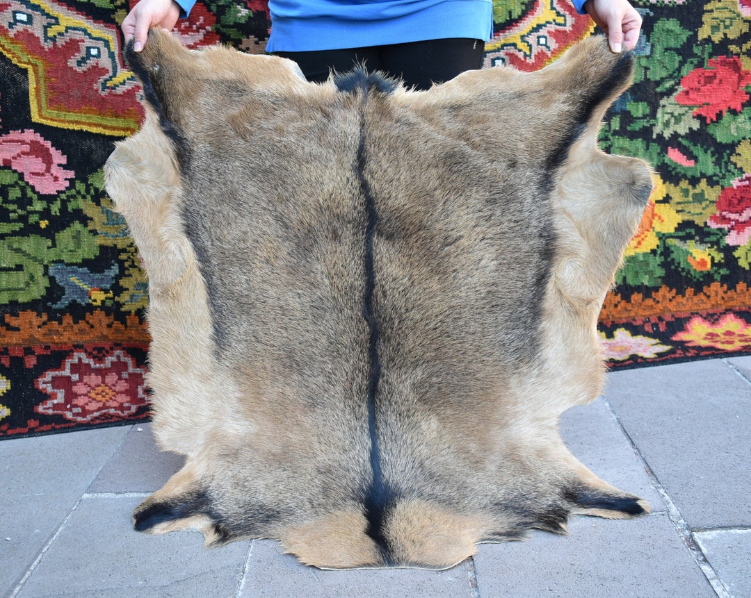Angora Goat Leather Goatskin Fur, 2 X 3 Ft, Angora Pelt Hide 100% ...