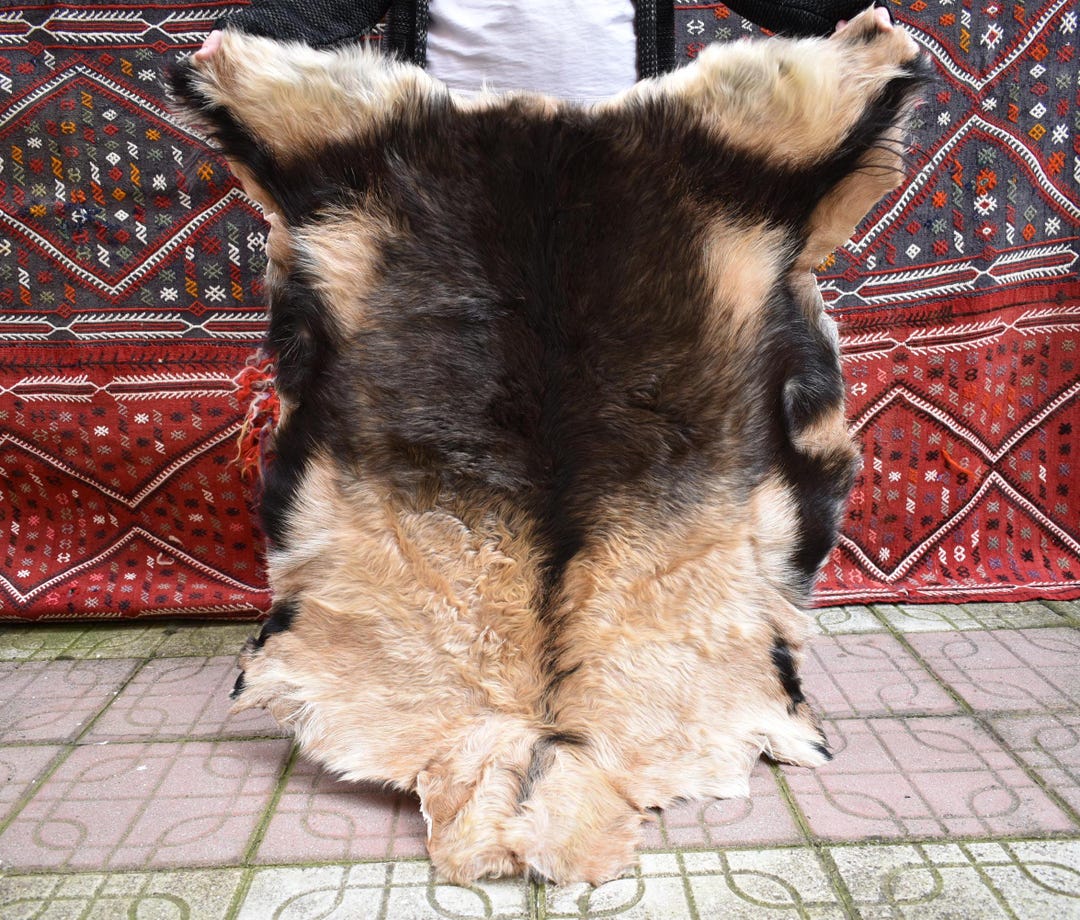 Angora Goat Leather Goatskin Fur, 2 X 3 Ft, Pelt Hide 100% Natural Goat ...