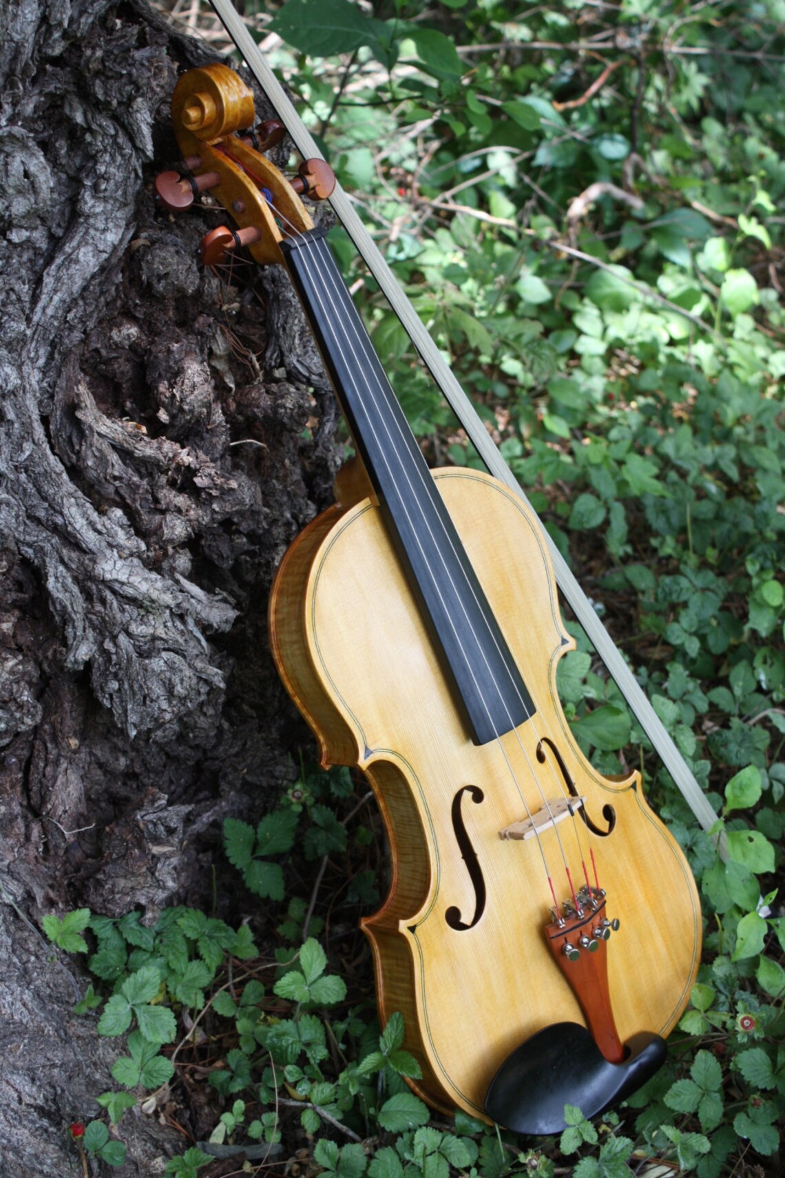 Dubova Violin. Custom Violin. Curly Maple Backboard. Hand made | Etsy
